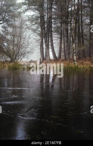 A frozen pond in a winter woodland Stock Photo - Alamy