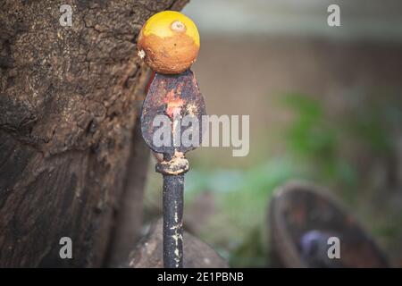 hindu god Murugan symbol Stock Photo - Alamy