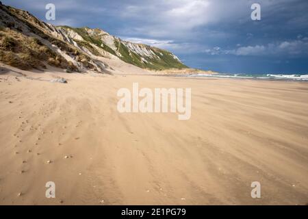 Cape Turnagain, Herbertville, Tararua Distirct, North Island, New ...