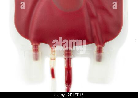 A bag of fresh blood or packed red cell, isolated on white back ground ...