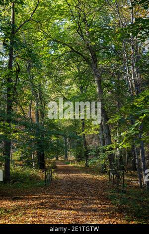 Aulanko forest park, Hameenlinna, Finland. Picturesque view from ...