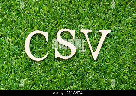 Alphabet letter with word CSV (Abbreviation of Computer system ...