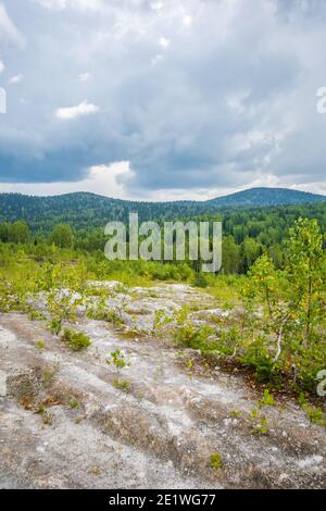 abandoned sand quarry, overgrown old quarry Stock Photo - Alamy