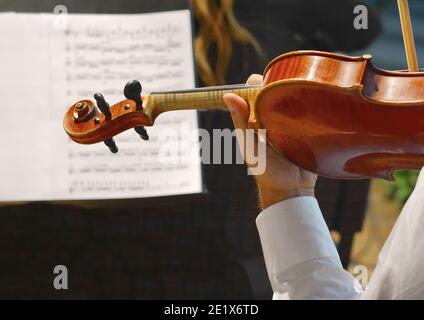 Actor violinist playing the violin strings. Musician plays a musical ...