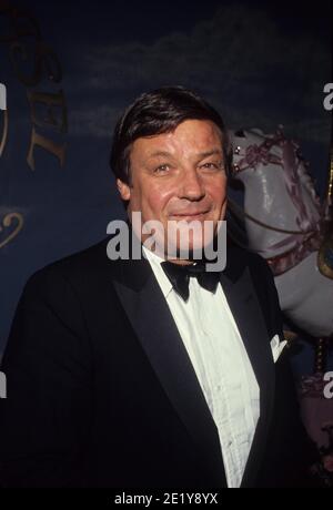 PETER DUCHIN 1990 L0703 Credit: Ralph Dominguez/MediaPunch Stock Photo ...