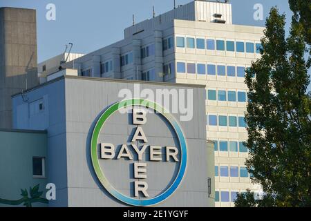 Bayer, Pharma, Muellerstrasse, Wedding, Mitte, Berlin, Deutschland ...