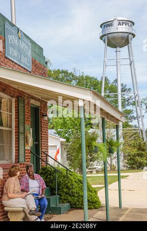 Alabama Wilcox County,Pine Apple,historic Victorian style home ...