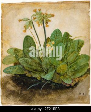 Albrecht Dürer, Durer or Duerer, German painter, printmaker, and ...