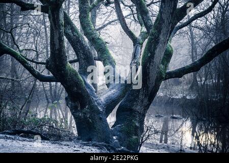 Sankey Valley follows the course of England's first canal, Sankey Canal ...