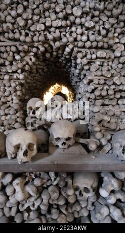 Closeup shot of human bones in Verdun, France Stock Photo - Alamy