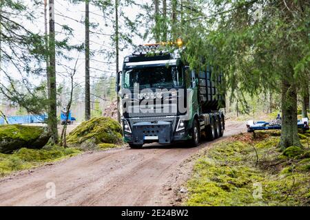 Forest road for forestry vehicles on a sunny day in a mixed forest ...