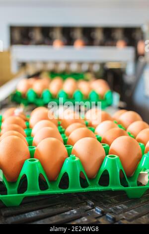 View of 3 fresh eggs on a farm table with copy space Stock Photo - Alamy