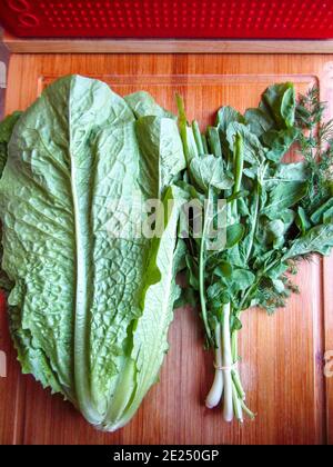 Biologically grown Greek Arugula, Dill, Lettuce and Spring Onions Stock ...