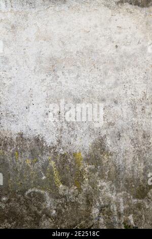 Rough plastered surface with damp stains background Stock Photo - Alamy