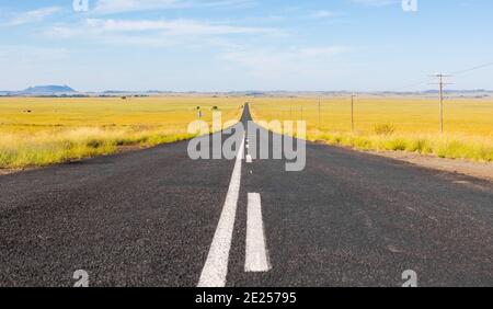 Paved empty road going through a dry plain landscape in South Africa at ...
