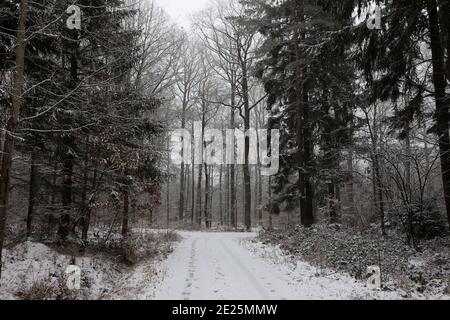 A mesmerizing shot of a beautiful winter landscape with snow-covered ...
