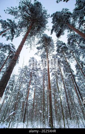 A high angle view of mesmerizing snowy Southern Alps in New Zealand ...