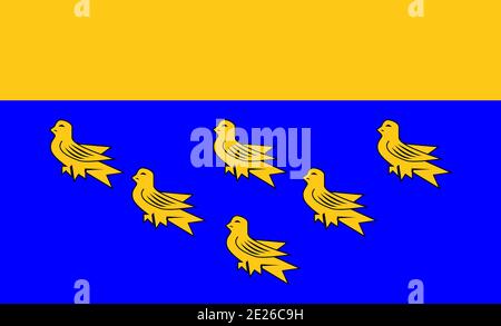 Flag of the West Sussex County Council Stock Photo - Alamy