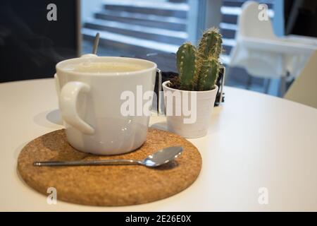 Ginger drink, cactus, sugar and black napkins on a white table Stock ...
