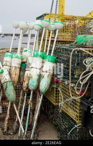 Beautiful sight of Atlantic Ocean's sandy beach featuring sun loungers ...