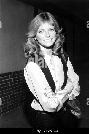 Cheryl Tiegs Credit: Ralph Dominguez/MediaPunch Stock Photo - Alamy