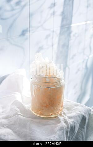 Snow Fungus, Tremella fuciformis. Also known as Snow Ear, Silver Ear ...