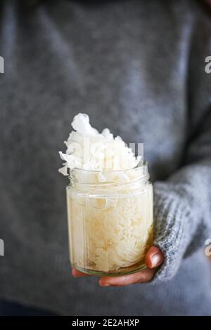 Snow Fungus, Tremella fuciformis. Also known as Snow Ear, Silver Ear ...