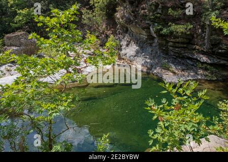 jumping stream to swimming. Stream in Ida Mountain, Beautiful nature ...