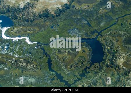 Okavango Delta in flood season by air Stock Photo - Alamy