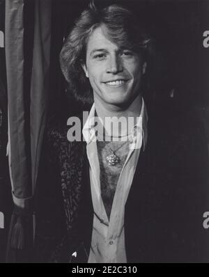 Andy Gibb Credit: Ralph Dominguez/MediaPunch Stock Photo - Alamy