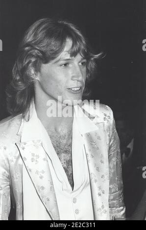 ANDY GIBB Credit: Ralph Dominguez/MediaPunch Stock Photo - Alamy