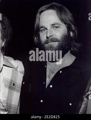 BEACH BOYSCredit: Ralph Dominguez/MediaPunch Stock Photo - Alamy