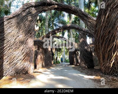 Artistic abstract arches made out of twigs in a tropical botanical ...