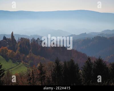 Mesmerizing scenery of trees on a mountainside on a foggy day Stock ...