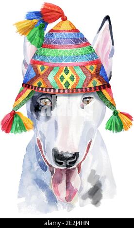 Bull terrier dog head watercolor clipart Stock Photo - Alamy