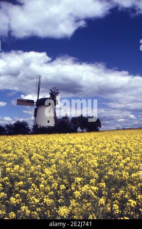 Old wind mill in Kalletal, Lippe district Stock Photo - Alamy