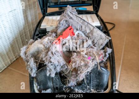 Exploded hoover dust bag producing much dirt Stock Photo - Alamy