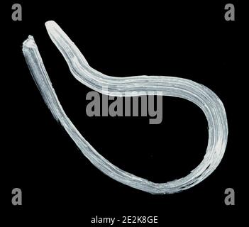 Alchemical Symbols Retort One Stock Photo - Alamy