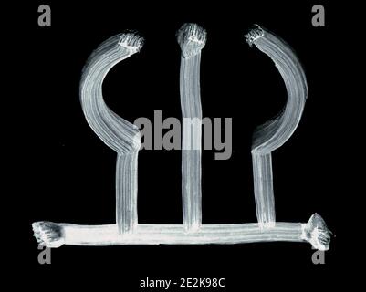 Alchemical Symbols Tartar Two Stock Photo - Alamy