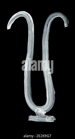 Alchemical Symbols Wick Stock Photo - Alamy