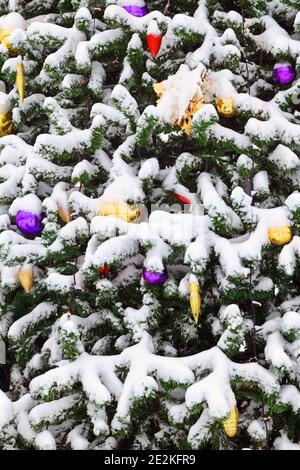 Christmas tree with decoration under snow Stock Photo - Alamy