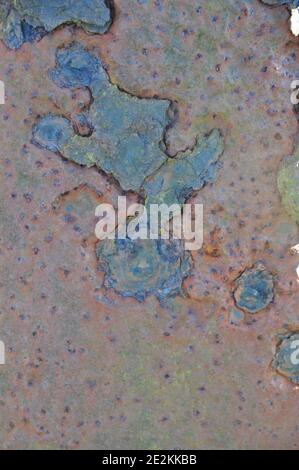 old rusty metal with mold decomposing to age Stock Photo - Alamy