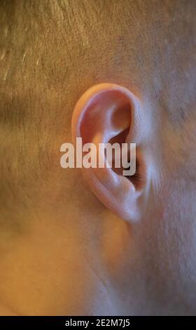bright closeup picture of a Male ear Stock Photo - Alamy