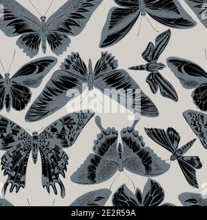 Seamless pattern with black and white wallace s golden birdwing ...