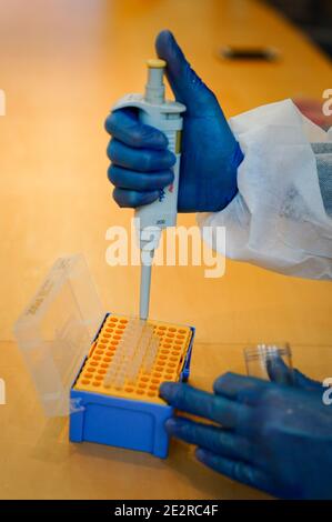 Laborantine performing an EasyCov rapid saliva test for Covid-19, in ...