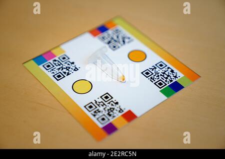 Example of a positive (yellow) and negative (orange) result of an ...