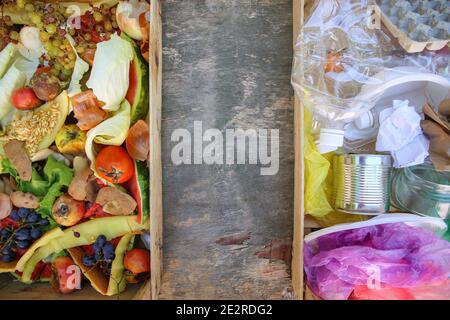 Different trash. Garbage sorting. Domestic waste for compost from ...