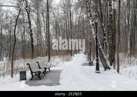 alley in snow-covered city park in winter day Stock Photo - Alamy