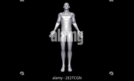 3d male model medium resolution solid surface object . Polygonal man ...