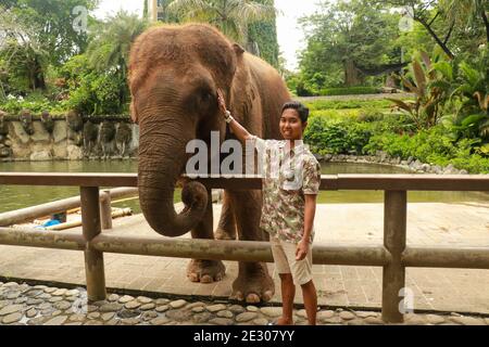 Young man touching the trunk of an elephant Stock Photo - Alamy